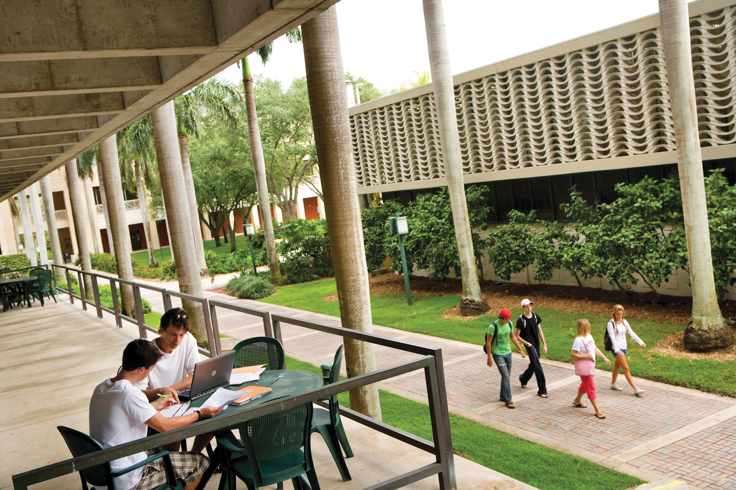 Apply Now | Bachelor of General Studies | University of Miami
